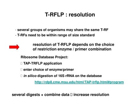 Ppt Profiling Microbial Communities With T Rflp Terminal Restriction Fragment Length