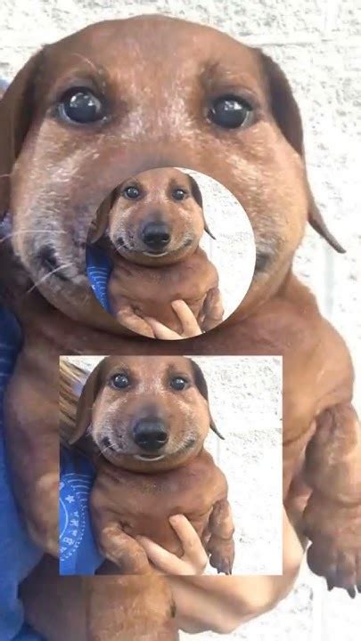 авы дискорд стим Youtube