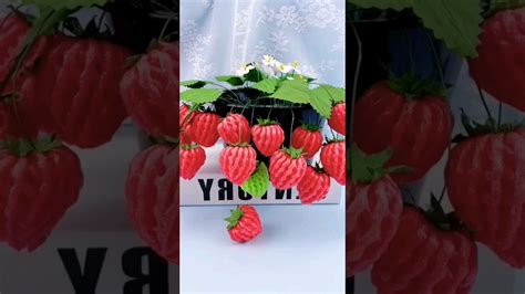 ඉවතලන පලතුරු කවර වලින් ලස්සන නිර්මාණ ස්ටෝබෙරි හදමු Youtube