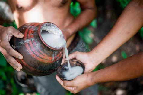 Kithul Toddy Pot Srilankan Bebida Tradicional Muy Sabrosa Imagen De Archivo Imagen De Dulce