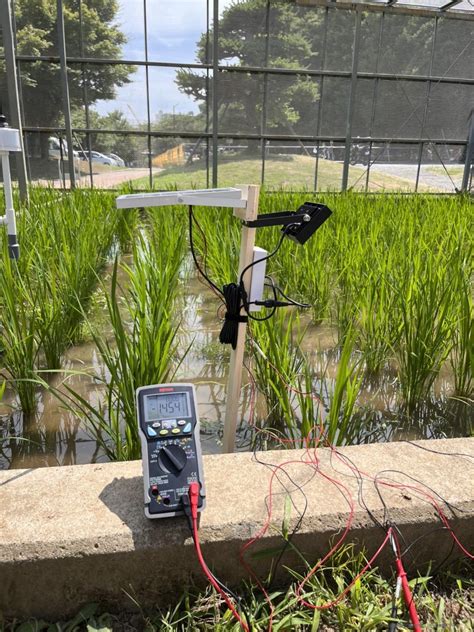 東京農業大学｜研究／産学官・地域連携シーズ｜有機栽培における微生物燃料電池技術効果の検証