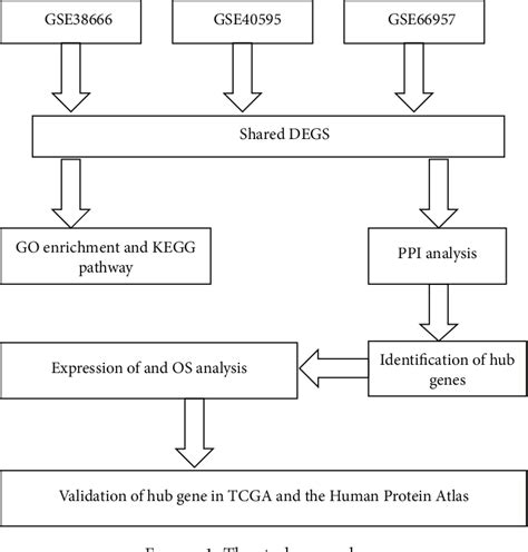 Figure 1 From Integrated Bioinformatics Analysis For Identification Of