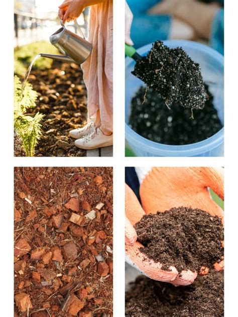 Top Strategies For Soil Health Maintenance In Your Garden Organicbazar Blog