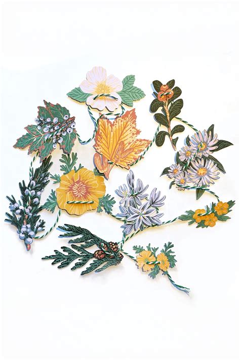 Pnw Native Plants Paper Garland Mini Stay Home Club
