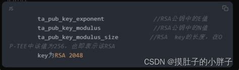 Optee：ta镜像的签名和加载 下（六）hkcoco的博客 Csdn博客