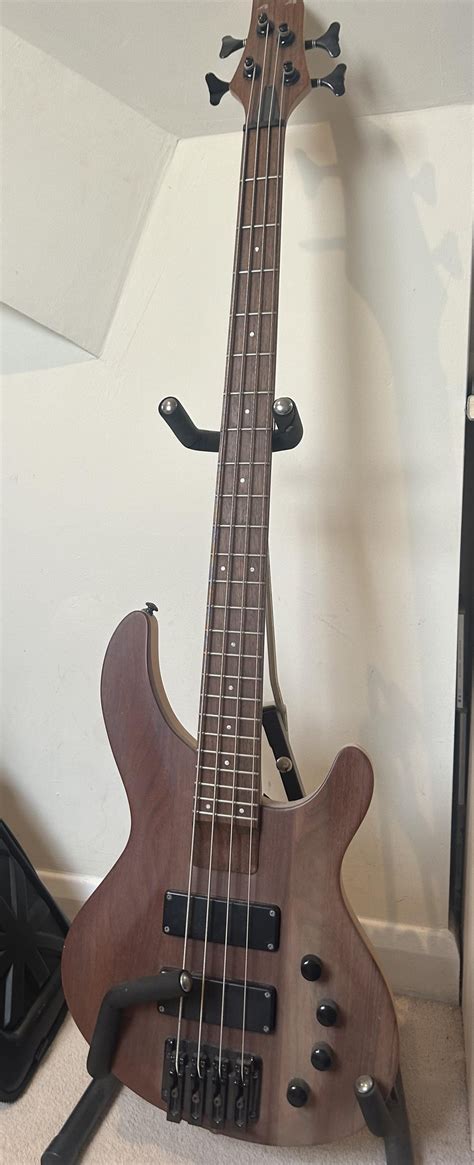 Bass Guitar Identification Help Rguitars