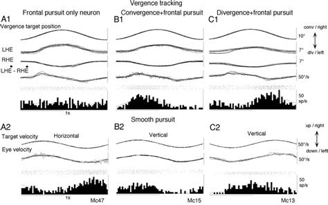 Discharge Of 3 Representative Sef Neurons During Vergence Tracking And