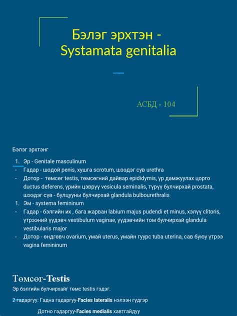 Эр эм бэлэг эрхтэн Pdf