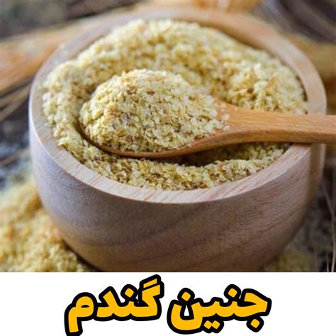 جنین گندم سویق نی نی کوچولو سویق و سرلاک مهر نی نی کوچولو