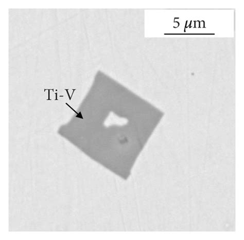 Typical Micron Sized Ti V Carbonitrides Marking Ti V” Under Sem Download Scientific