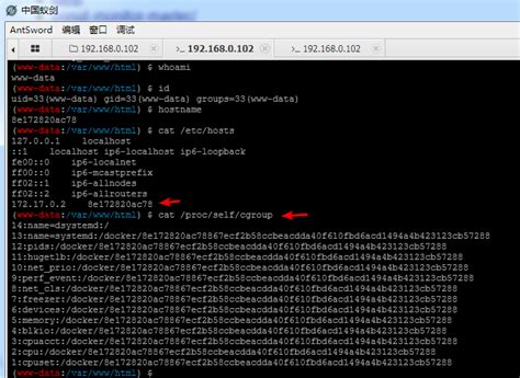 Docker逃逸 hello bao 博客园