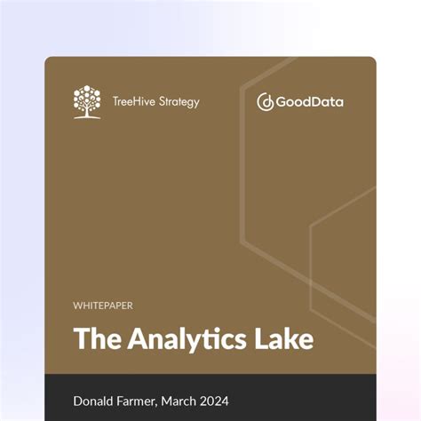 The Analytics Lake Whitepaper By Donald Farmer Gooddata Posted On The