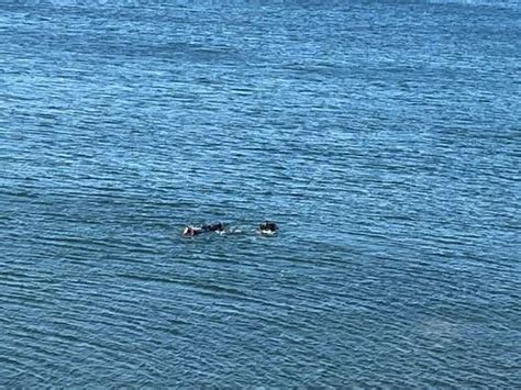 Body Recovered In Search For Missing 16 Year Old Athrun North Wales Live