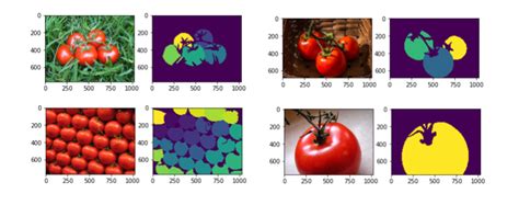 Speed Up Your Image Segmentation Workflow With Model Assisted Labeling