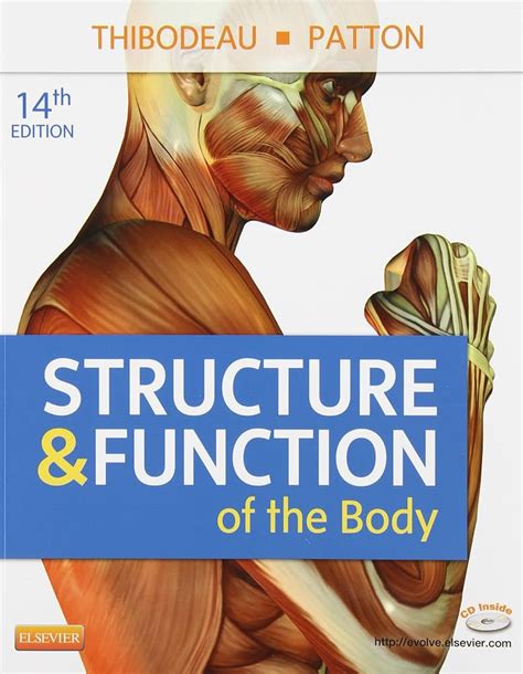 Anatomy Structure And Function