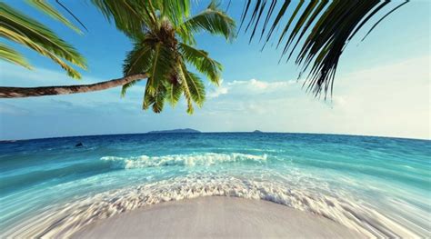 Creating A Bulge Distortion Effect With WebGL IDevie