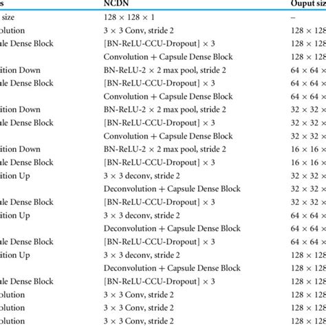 The Architecture Of The Nested Capsule Dense Network Conv Layer In The Download Scientific