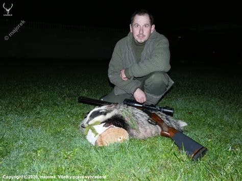 Jazvec Poľovnícka Fotografia Fotka Poľovnícke Foto 366595