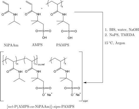 Synthesis Of The Bisensitive Semi Ipn Hydrogel Download Scientific