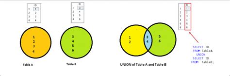 SQL Union Vs Union All In SQL Server
