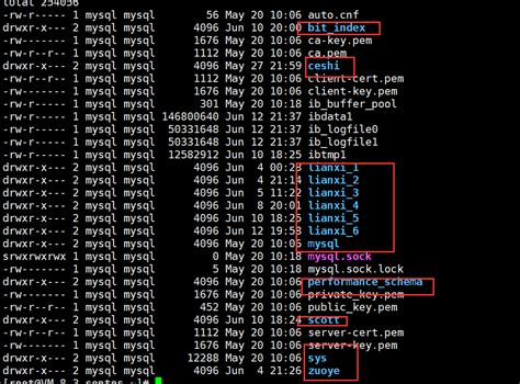 Mysql数据库基础：从零开始的第一步【linux】 Csdn博客