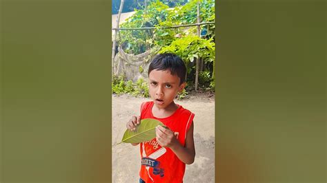 এই ছুটকি কি খাচ্ছিস পাঁপড়short Trending Video Youtube