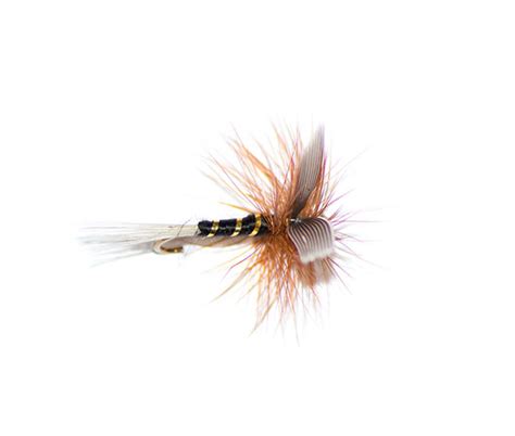 Black Spinner traditional dry fly from fish fishing flies