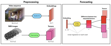 Forecasting Fmri Images From Video Sequences Linear Model Analysis