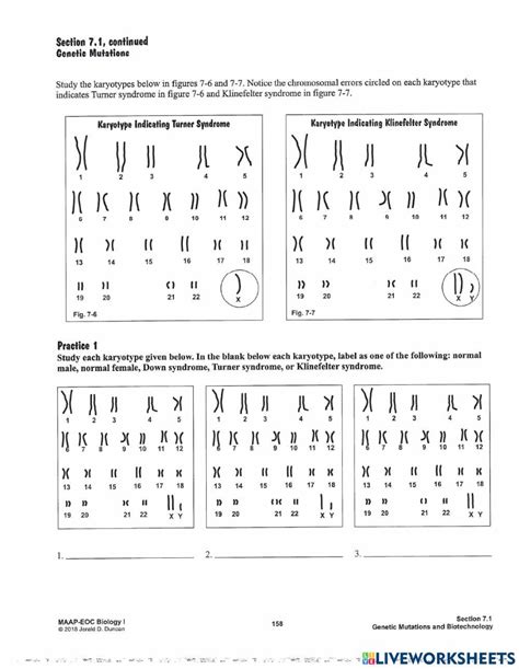 Genetic Mutatio Free Interactive Worksheets 4898511