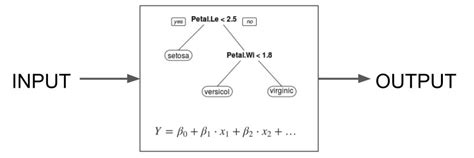 10 Interpretability Supervised Machine Learning For Science