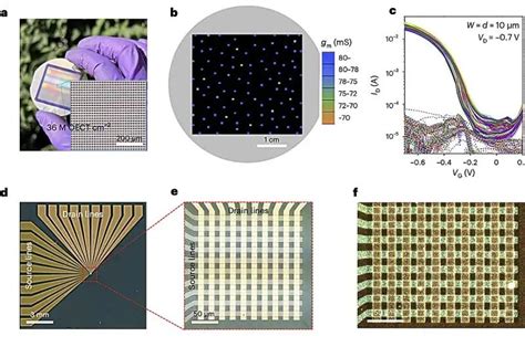 S P Santhosh Kumar On Linkedin Electrochemical Transistor Arrays