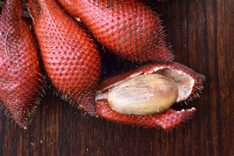 25 Facts About Salak