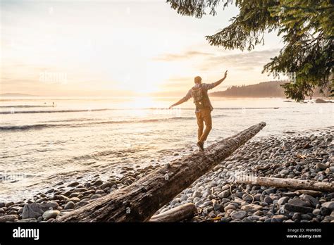 Man Balancing On Driftwood Log On Beach In Juan De Fuca Provincial Park