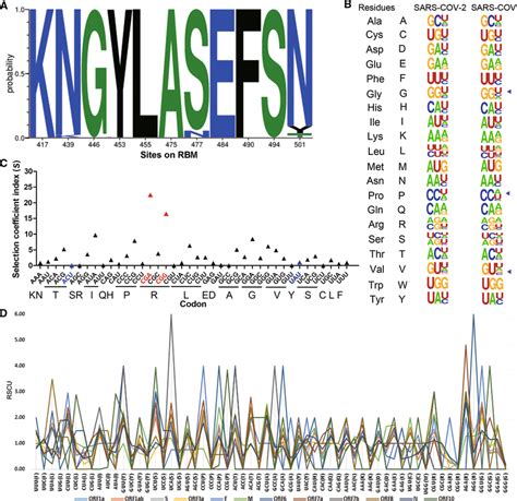 Codon Usage And Fitness Analysis Of The Sars Cov 2 Encoded Proteins