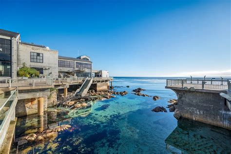 Visiting The Bay Area For Super Bowl 60 Here Are Locales Worth Seeing