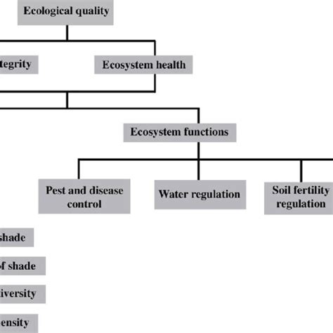 Definition Of Ecological Quality For This Review Download Scientific