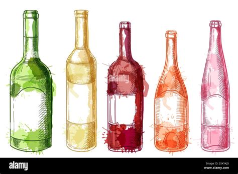 row of five bottles with different sort of wines vector hand drawn