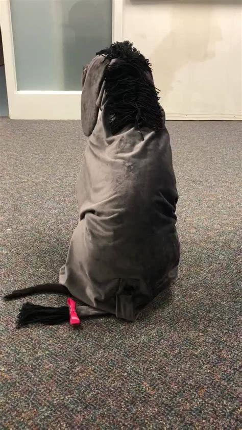 Just A Video Of Ella Walking Around Work In Her Eeyore Costume Is She