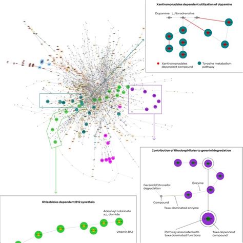 Taxonomic Stratification Of Microbial Functions Visualization Of