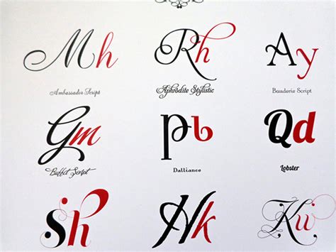 Script Serif Fonts Behance
