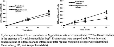 Effect Of Intracellular Mg Concentration On Mg 2 Efflux And Mg 2 Download Scientific Diagram