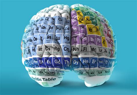 Intelligence Here Are The Different Types Of Intelligence