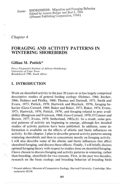 Pdf Foraging And Activity Patterns In Wintering Shorebirds