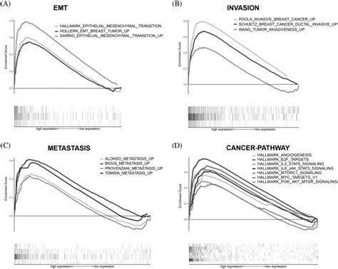 Integrative Multiomics Analysis Identifies A Metastasis Related Gene Signature And The Potential