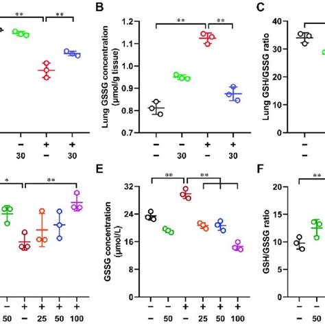 The Regulation Of Melatonin On The Gsh Gssg And Gshgssg Ratio In The