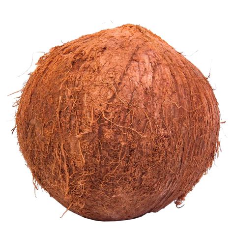 Coco Seco Sem Pele Unidade Natural Da Terra