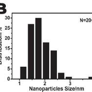 A SEM Image Of MPC B And C TEM Images Of MPC And C MPC Download Scientific