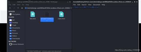 信息泄露之githack master的使用 csdn博客