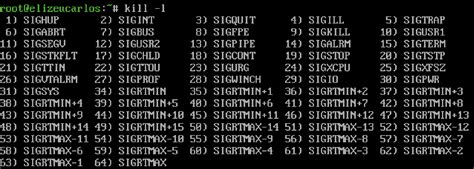 Sigterm Vs Sigkill Explained With Python