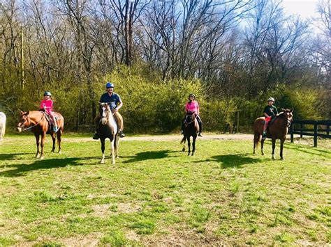 No Qualified Trainer Review Of Creekside Riding Academy And Stables